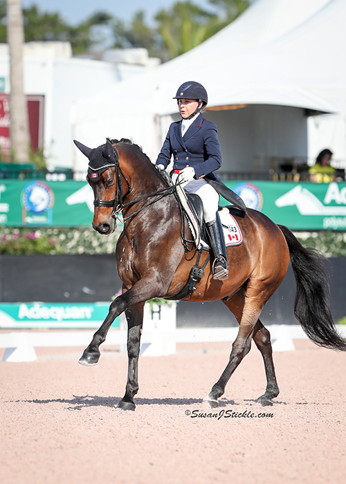 Jennifer Wood Media | First CDI-W Victory for Arlene Page and Dr. House ...